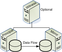 Mirroring Support in Flex2SQL for MS SQL Server